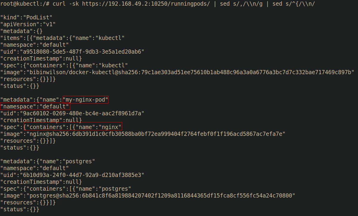 Access Kubelet API - The Kubenomicon